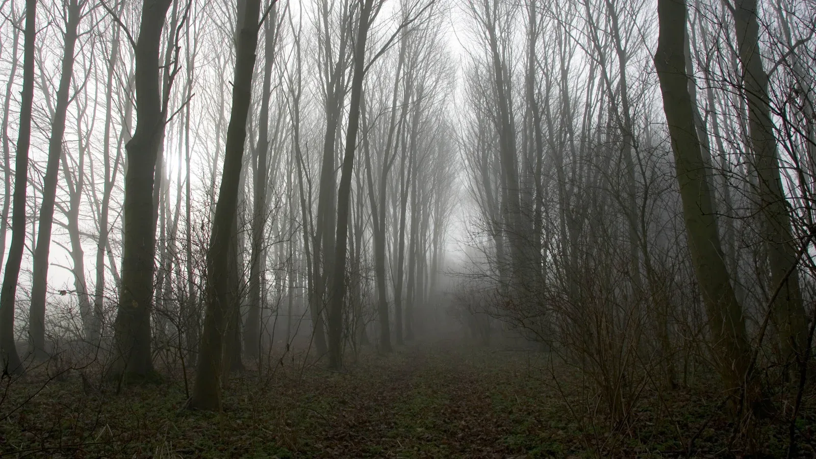 El misterio de Le Loyon: Desentrañando la leyenda urbana que ha ...